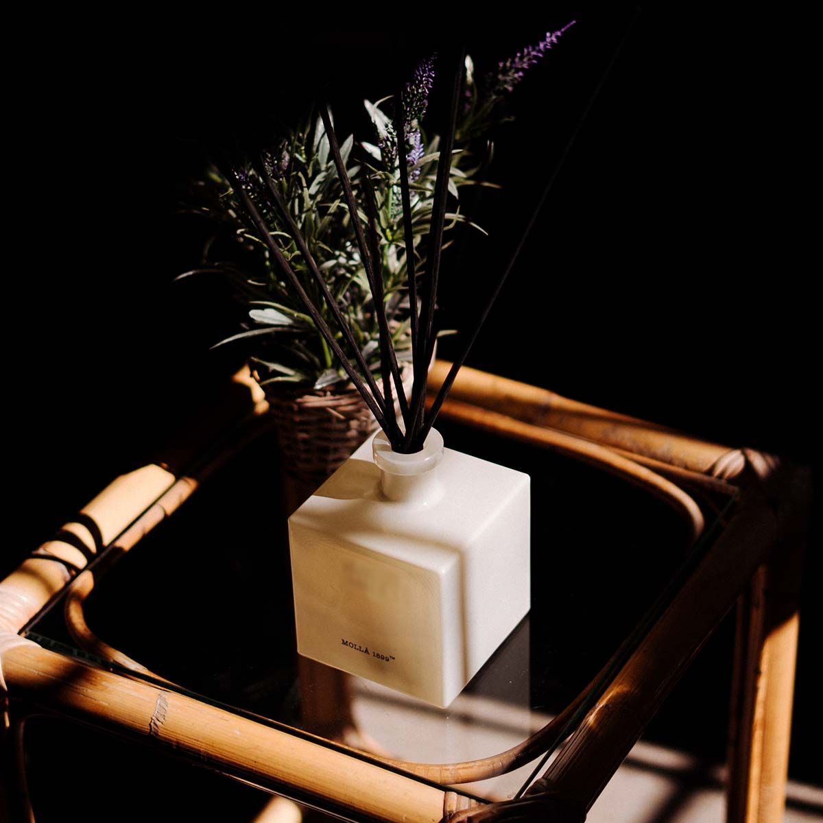 STÄBCHENDIFFUSER CERERIA MOLLA MOROCCAN CEDAR - Aromapunkt